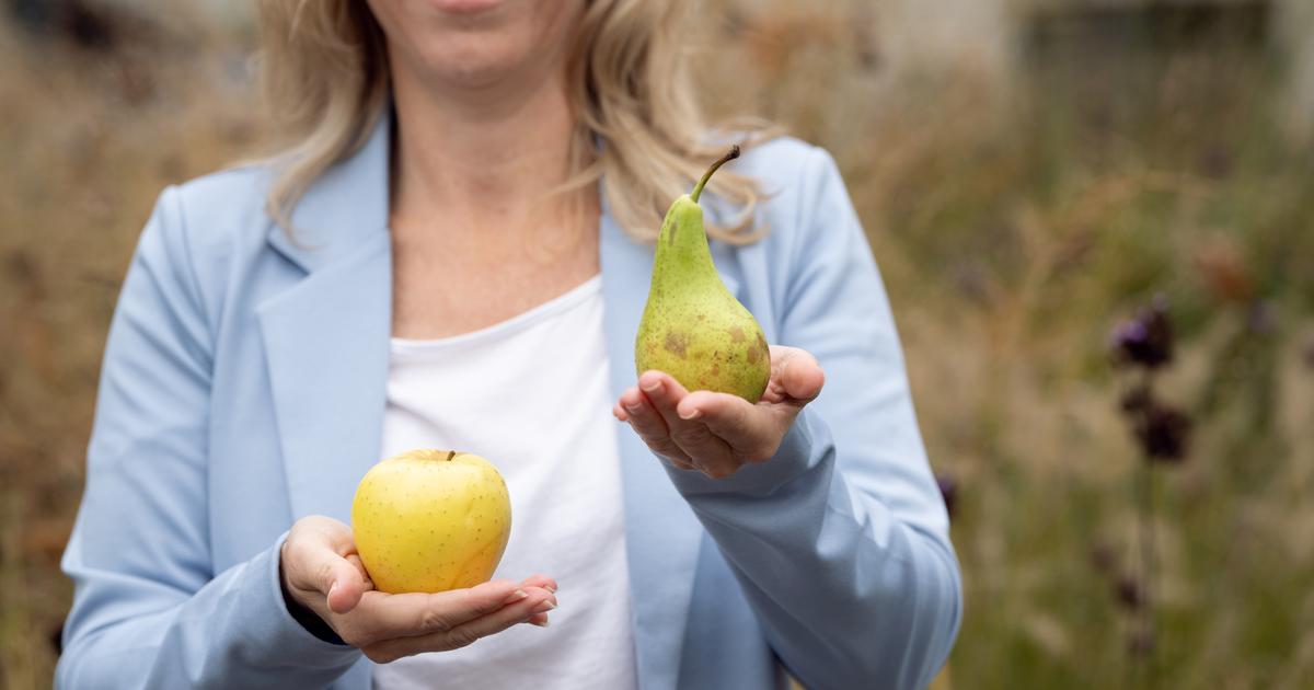 Remuneration - transparent, fair and holistic